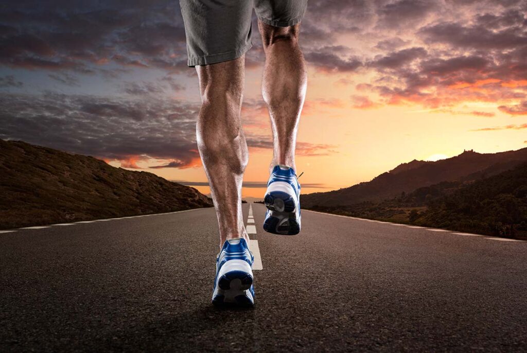 anatomie-muskulatur-der-wade - Trainingsworld - das Sportexperten Portal